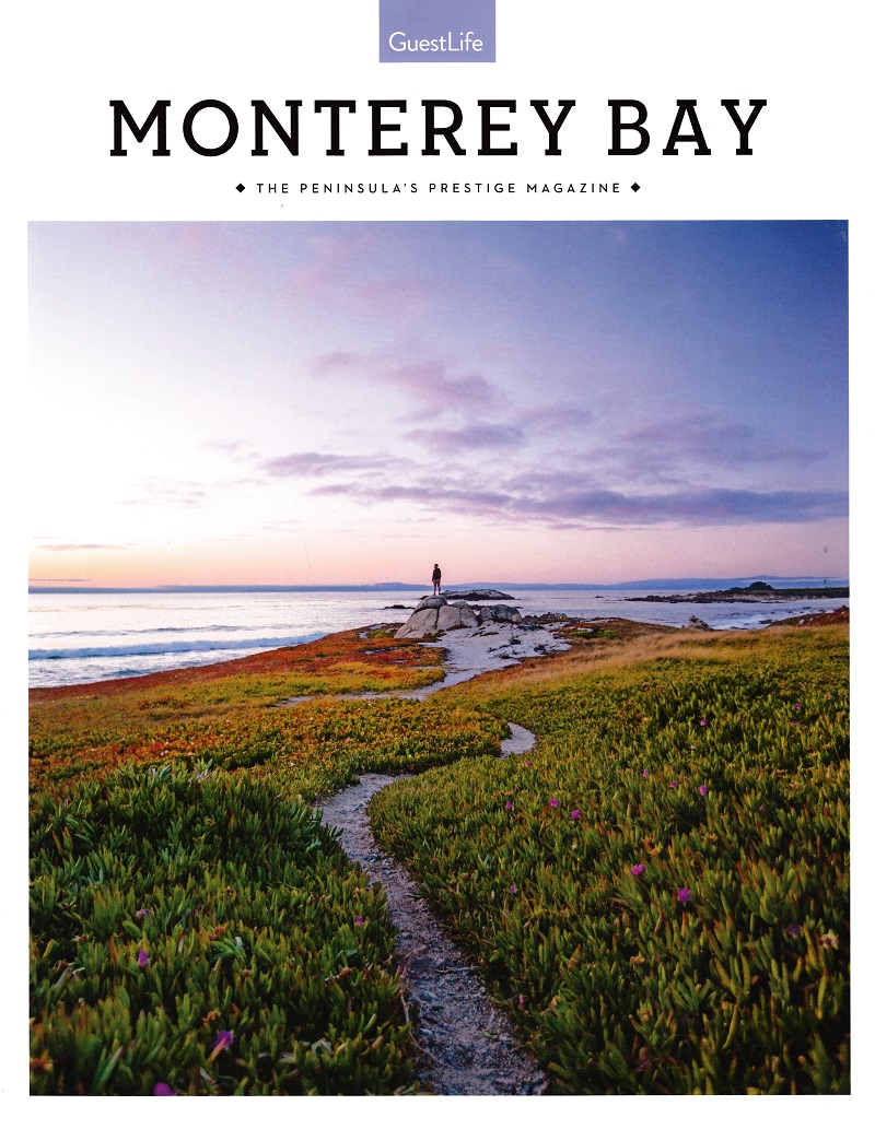 Things to Do in Monterey Bay Area, Attractions, Activities | VisitorTips